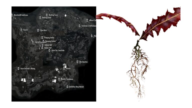 All Crimson Nirnroot Locations in Elder Scrolls V: Skyrim - Media Referee