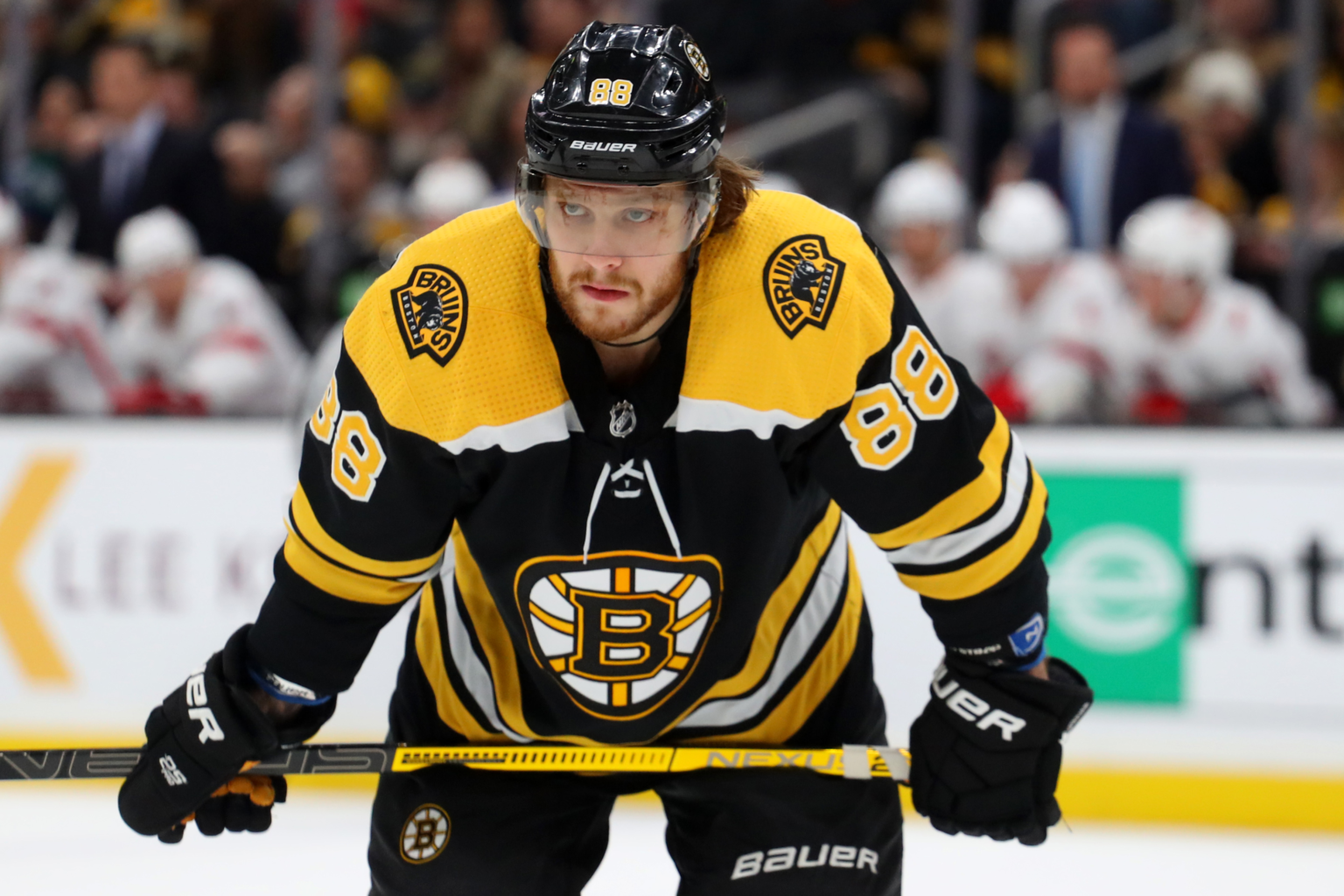 David Pastrnak is an ice hockey player who plays in the NHL. Let us see ...
