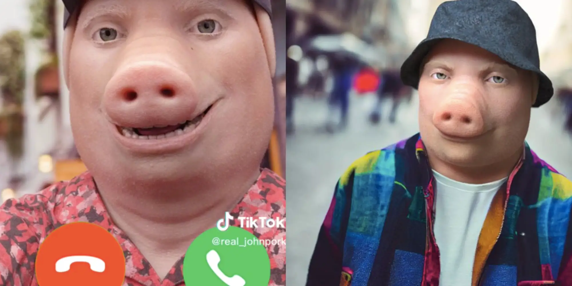 What is John Pork is calling? Meme takes TikTok by storm